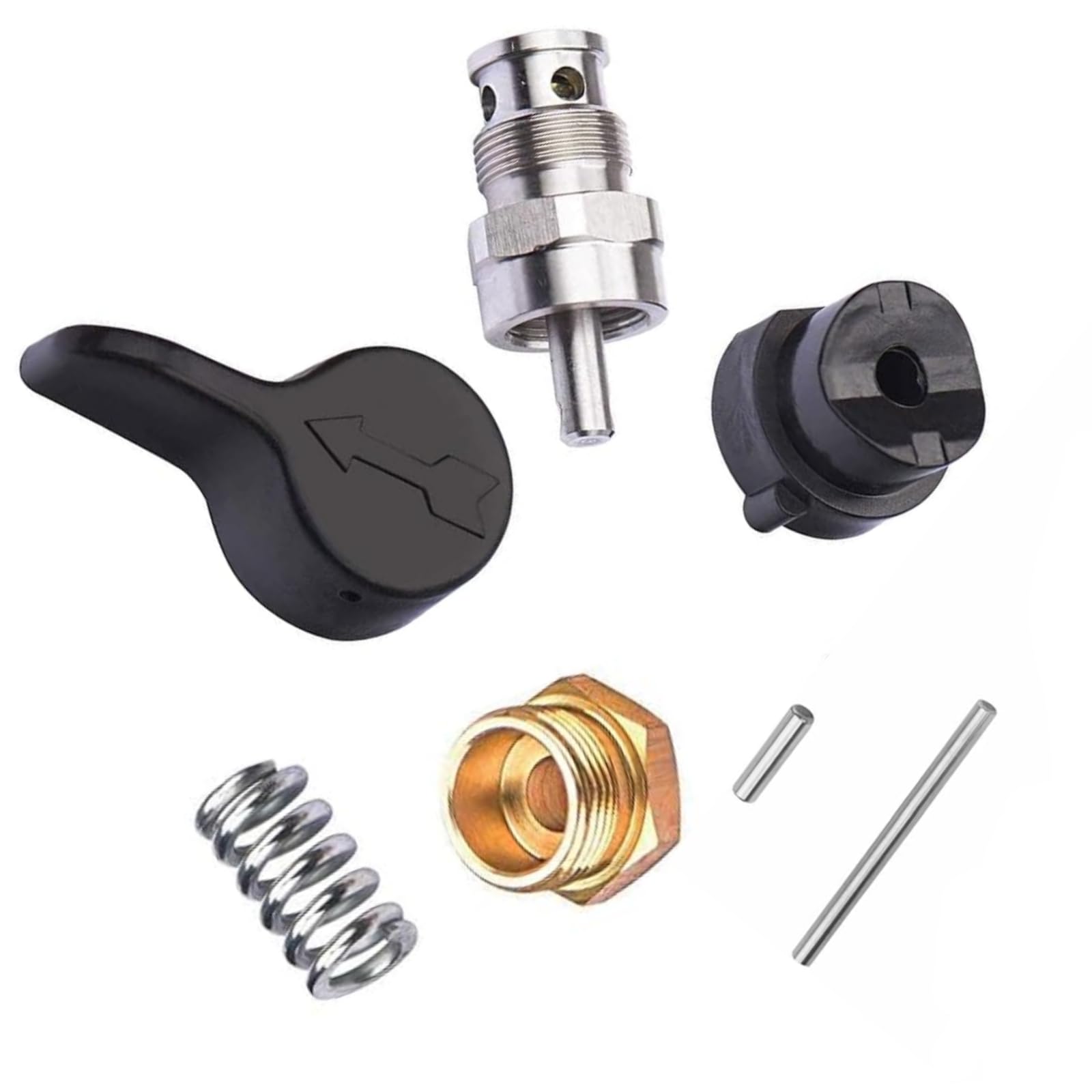 Amazon.com : FHUIPENG 257352 Prime Spray Valve, Drain Valve Compatible ...