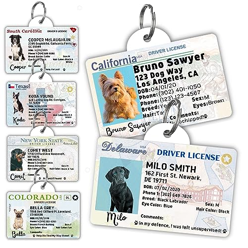 10 Best Pet ID Options: Get Your Furry Friend Licensed and Identified ...