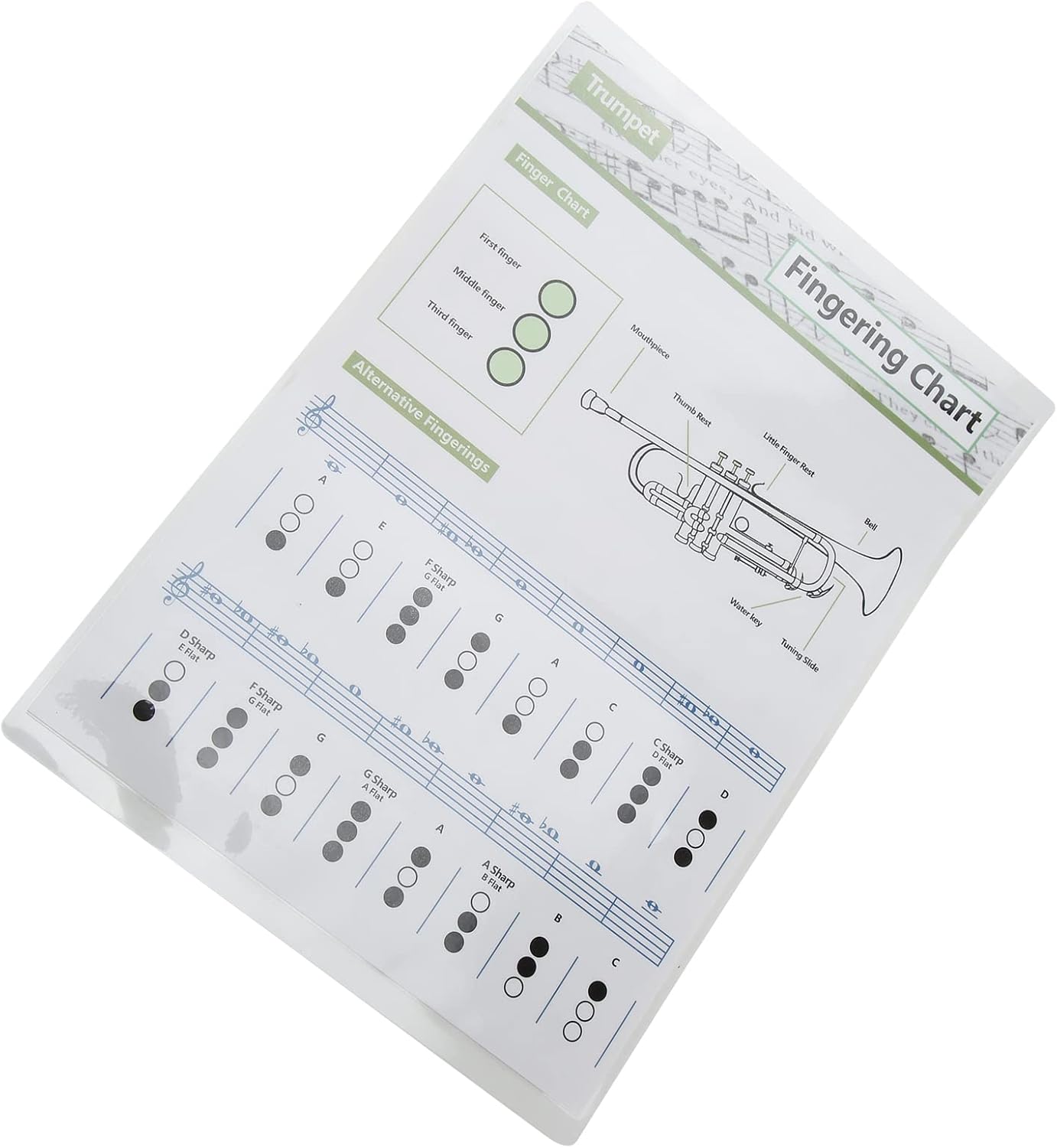 Amazon.com: Trumpet Notes Guide, Portable Trumpet Chord Chart Scale ...