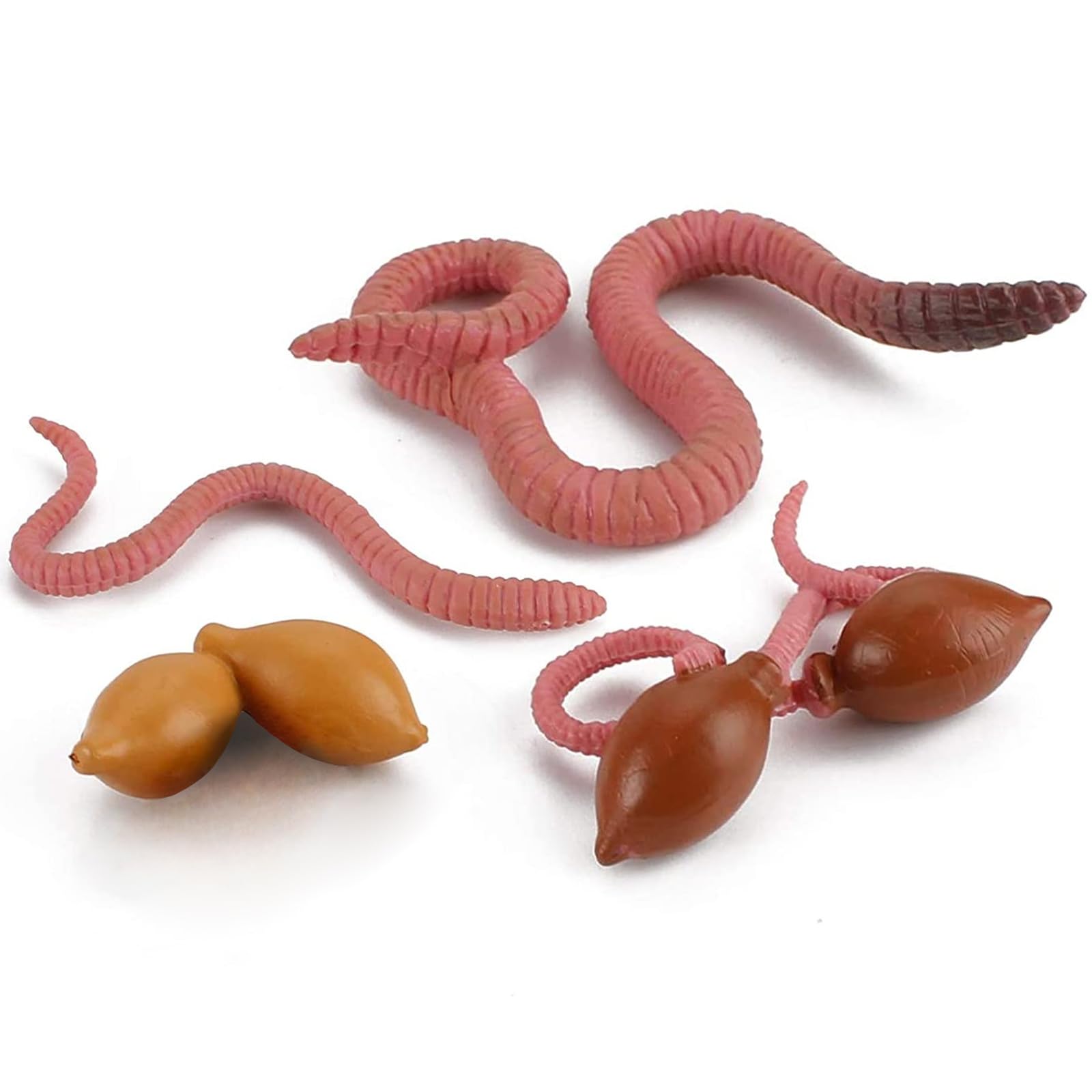 Life Cycle Of Earthworm Toys Earthworm Life Cycle Figurines Set ...
