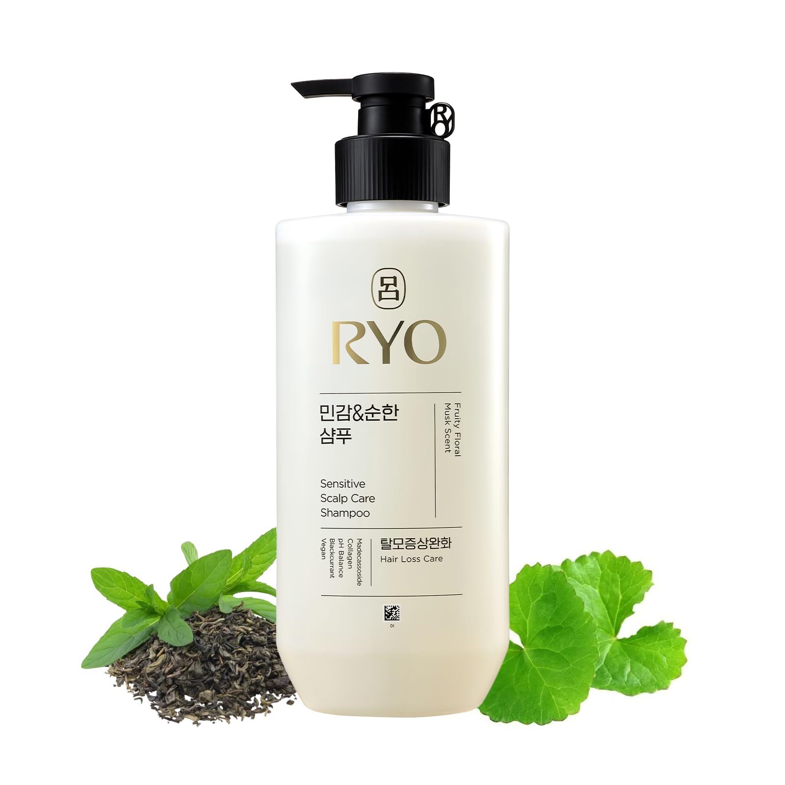 Amazon.com: RYO Sensitive Scalp Care Shampoo with Korean Ginseng ...