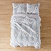 Amazon.com: Levtex Home - Olyria Quilt Set -Twin Quilt + One Standard ...