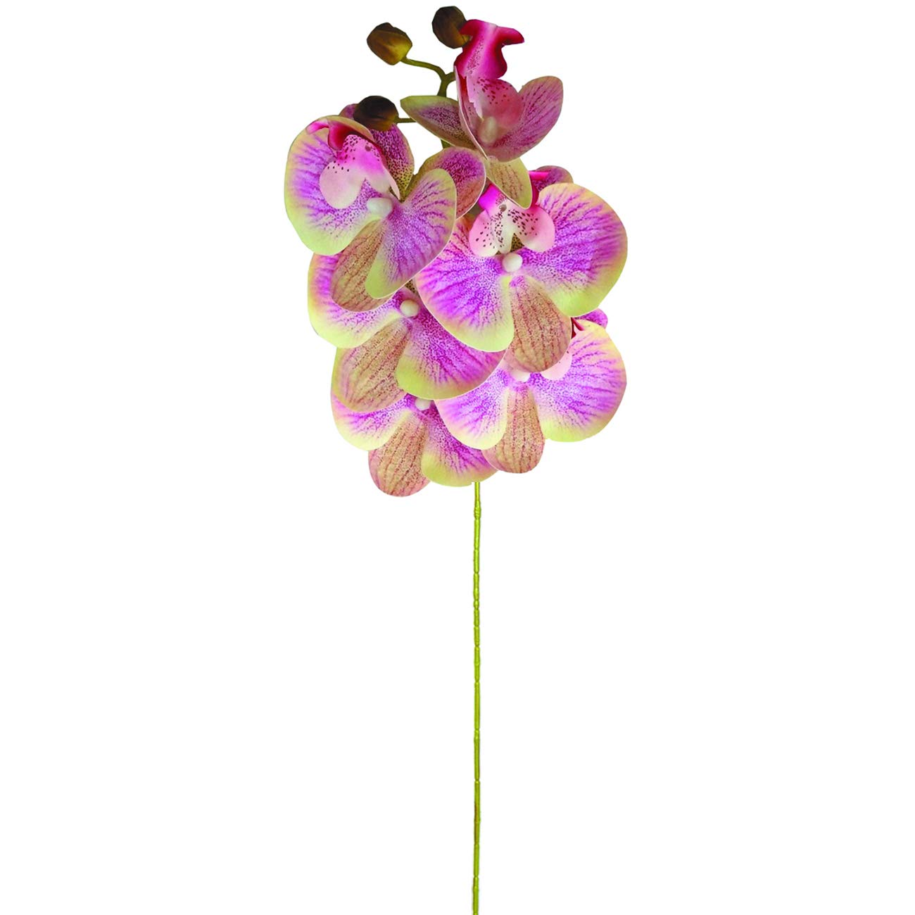 Amazon.com: Calcifer 6 Pcs 3D Artificial Real Touch Latex Phalaenopsis ...