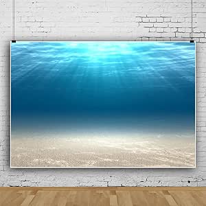 Amazon.com : 12x10ft Vinyl Under The Sea Backdrop Underwater Sunlight ...