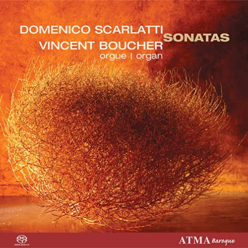 Spiele Scarlatti D Keyboard Sonatas Von Vincent Boucher Auf Amazon Music Ab