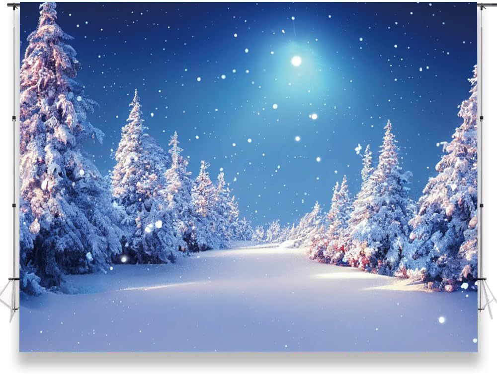 Amazon.com : OFILA Winter Christmas Backdrop 10x8FT Winter Landscape ...