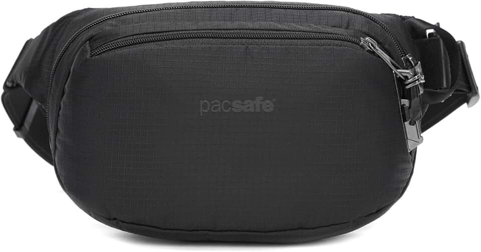 Amazon.com: Pacsafe