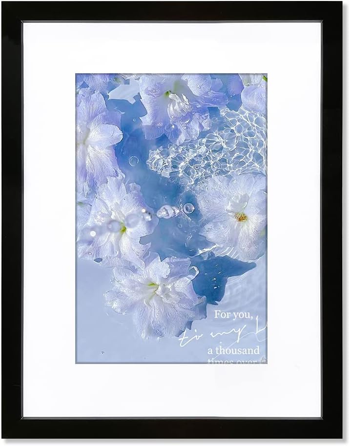 Amazon.com: KZZLOL 14x20 Frame, Display Pictures 12x16 with Mat or ...