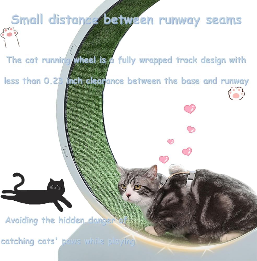 GYKLE Cat Exercise Wheel, Cat Treadmill Running Wheel with Carpeted ...