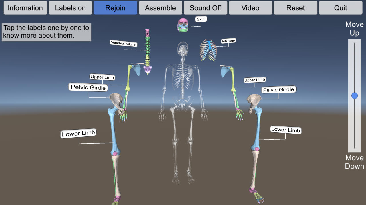 Skeletal System - App on Amazon Appstore