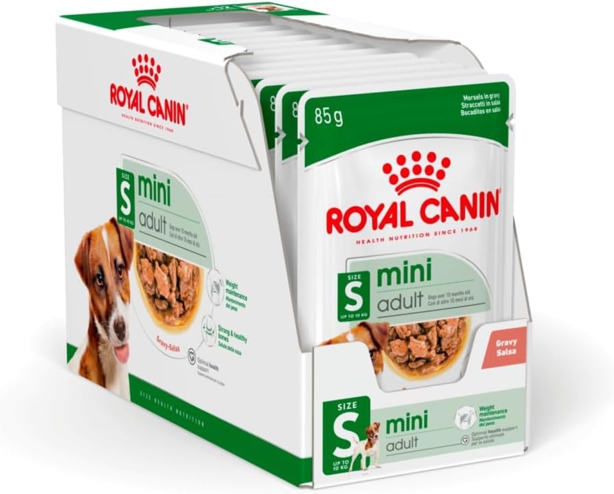 Royal Canin Mini Adult Wet Pouches Dog Food 85 grams (Pack of 12 ...
