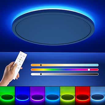 Annaror RGB LED Flush Mount Ceiling Light with Remote, 12 Inch Color ...