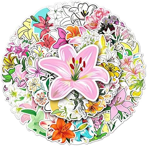 Amazon.com: Lily Vinyl Stickers for Teens Boy Girls Kids|50 Pcs|Trendy ...