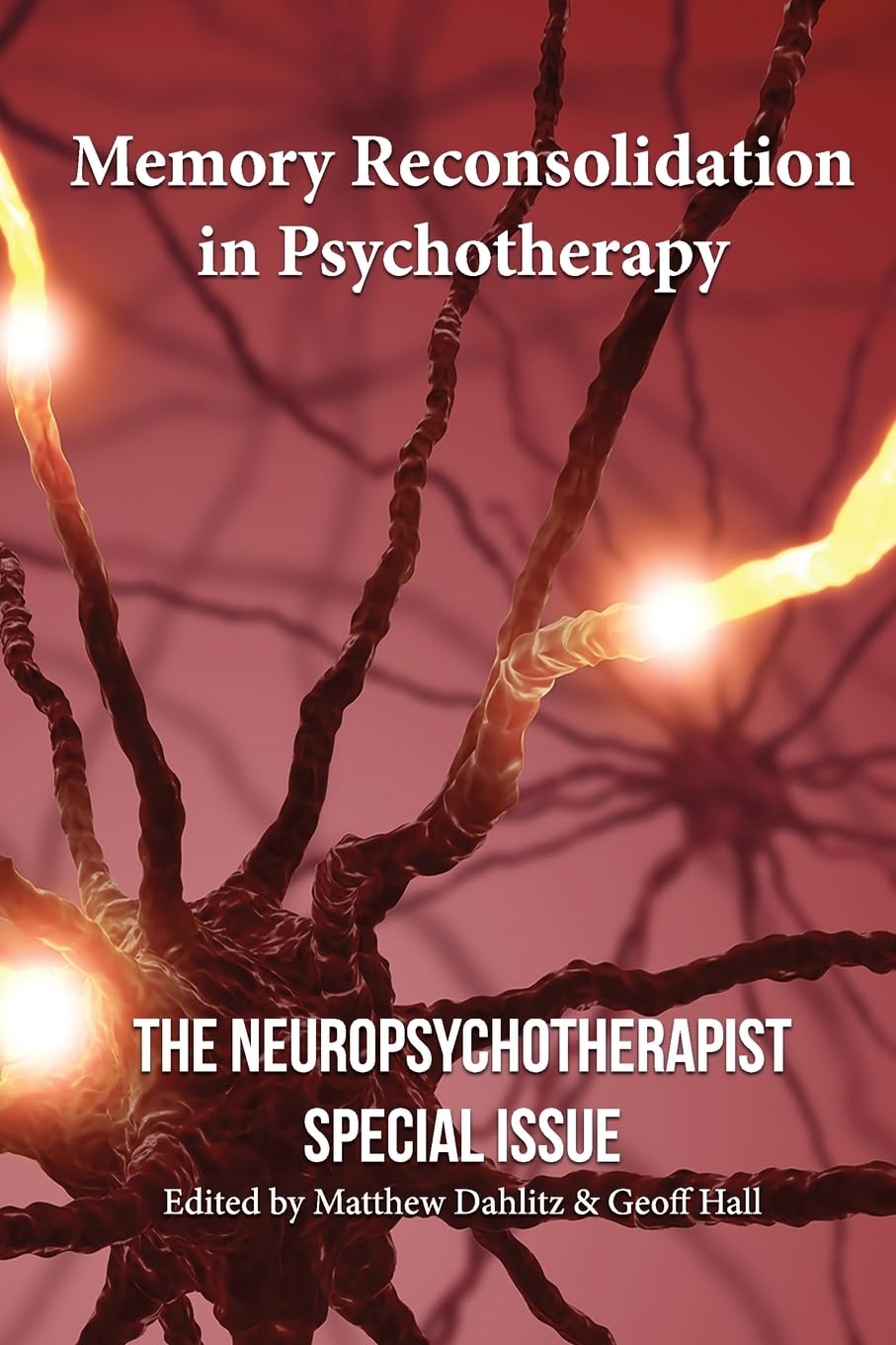 Memory Reconsolidation in Psychotherapy: The Neuropsychotherapist Special Issue (The ...