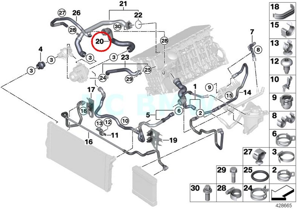 Amazon.com: BMW Genuine Coolant Hose : Automotive