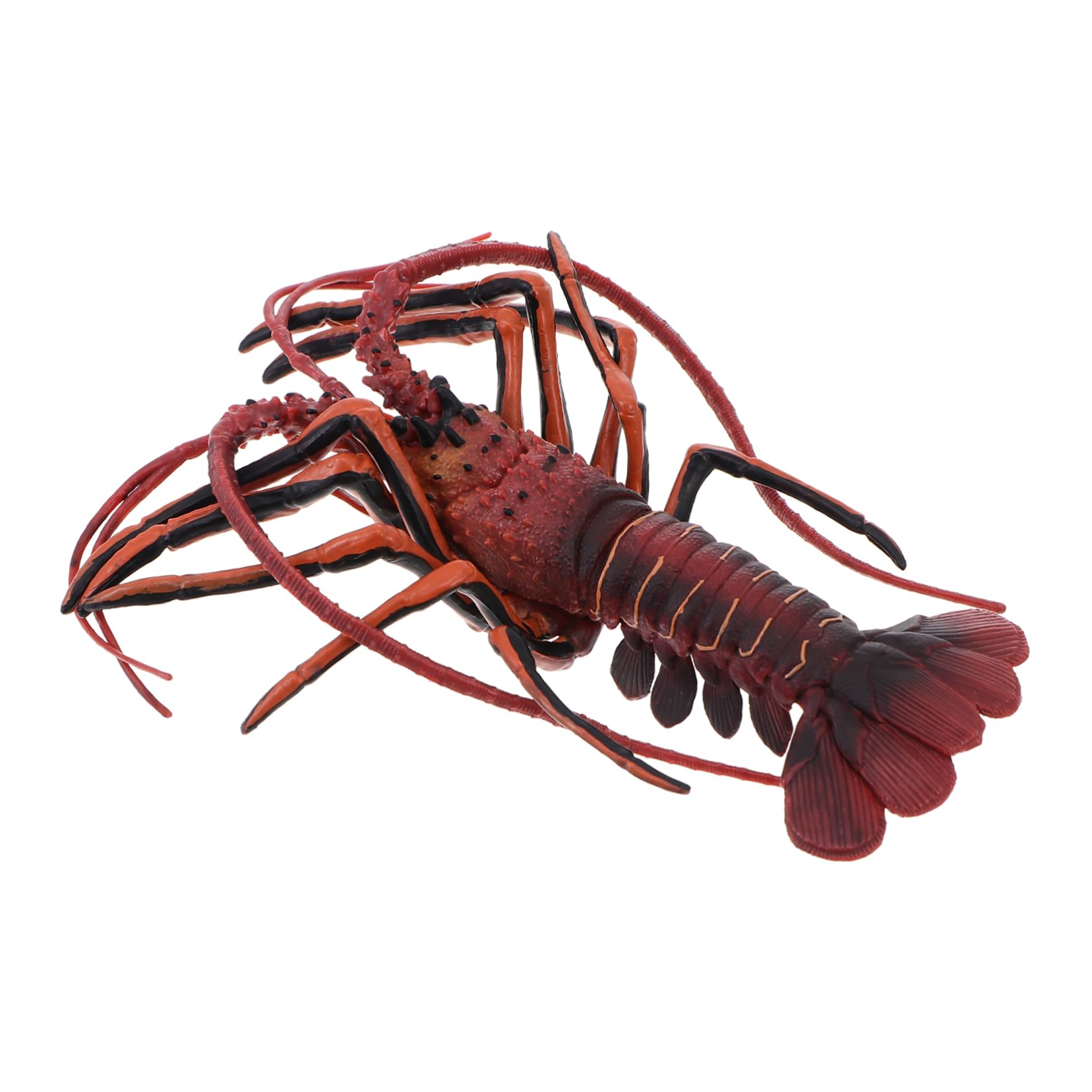 Buy UPKOCH 1pc Lobster Model Science Cognitive Toy Lobster Tail Sea ...