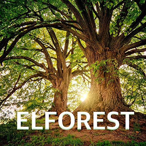 Play 시원한 산들 바람이 머무는 골짜기 by forest L on Amazon Music