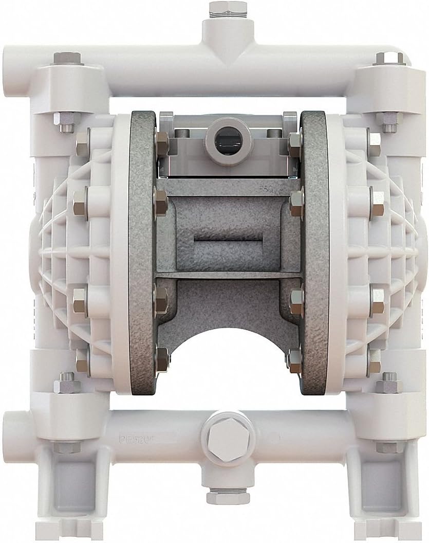 Amazon.com: Double Diaphragm Pump, 11 gpm Max. Flow, Buna N, Multiport ...
