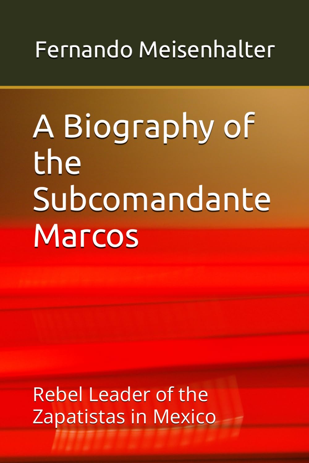 A Biography of the Subcomandante Marcos: Rebel Leader of the Zapatistas ...