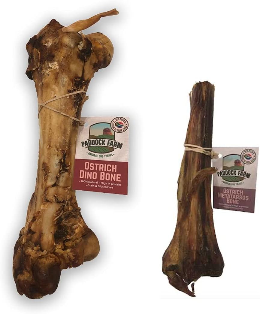 Paddock Farm Ostrich Dino Bone For Dogs - Natural Dog Bones : Amazon.co ...