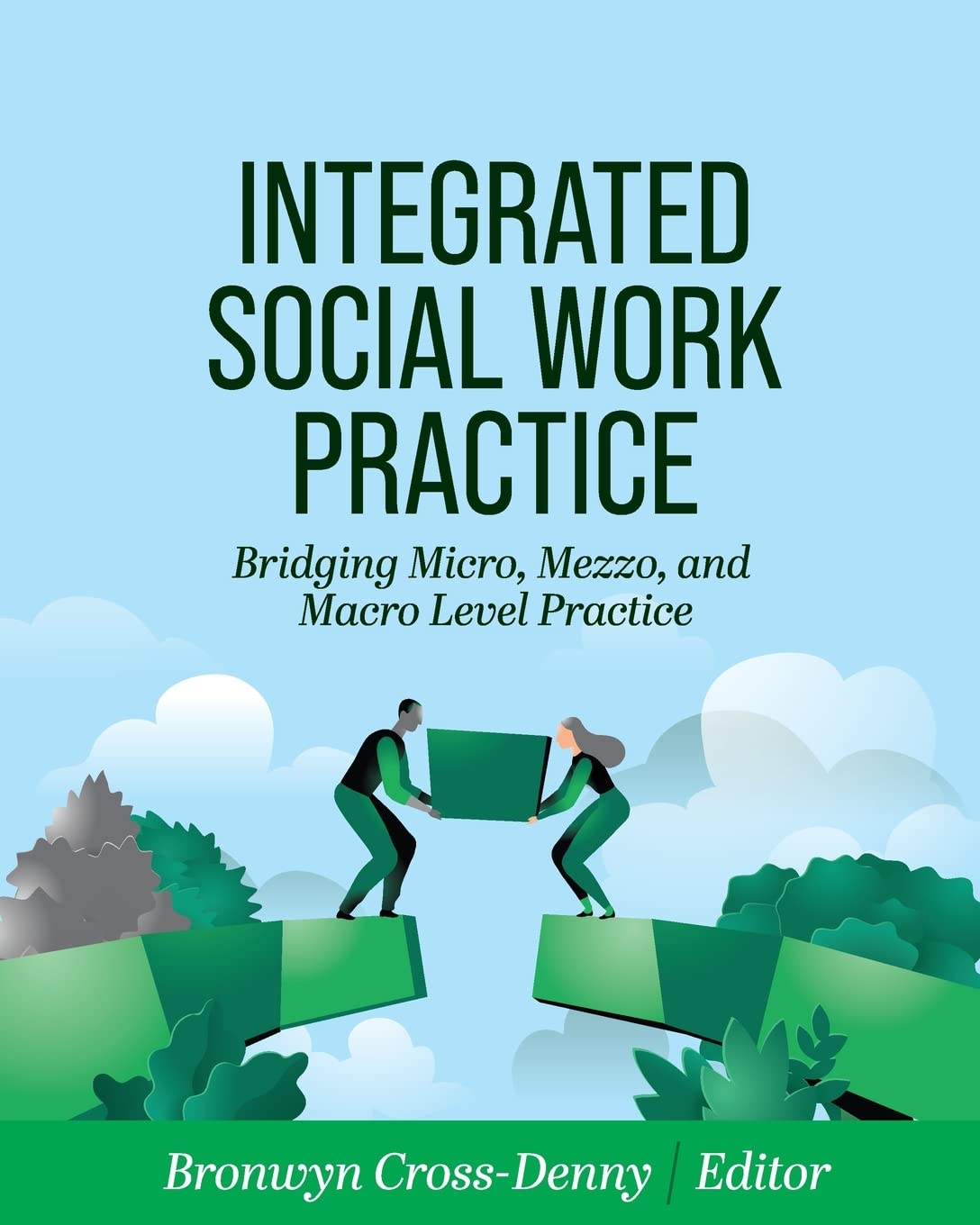 Integrated Social Work Practice: Bridging Micro, Mezzo, and Macro Level ...