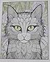 Amazon.com: Cats a Cat Lover’s Coloring Book for Adults: 51 Relaxing ...