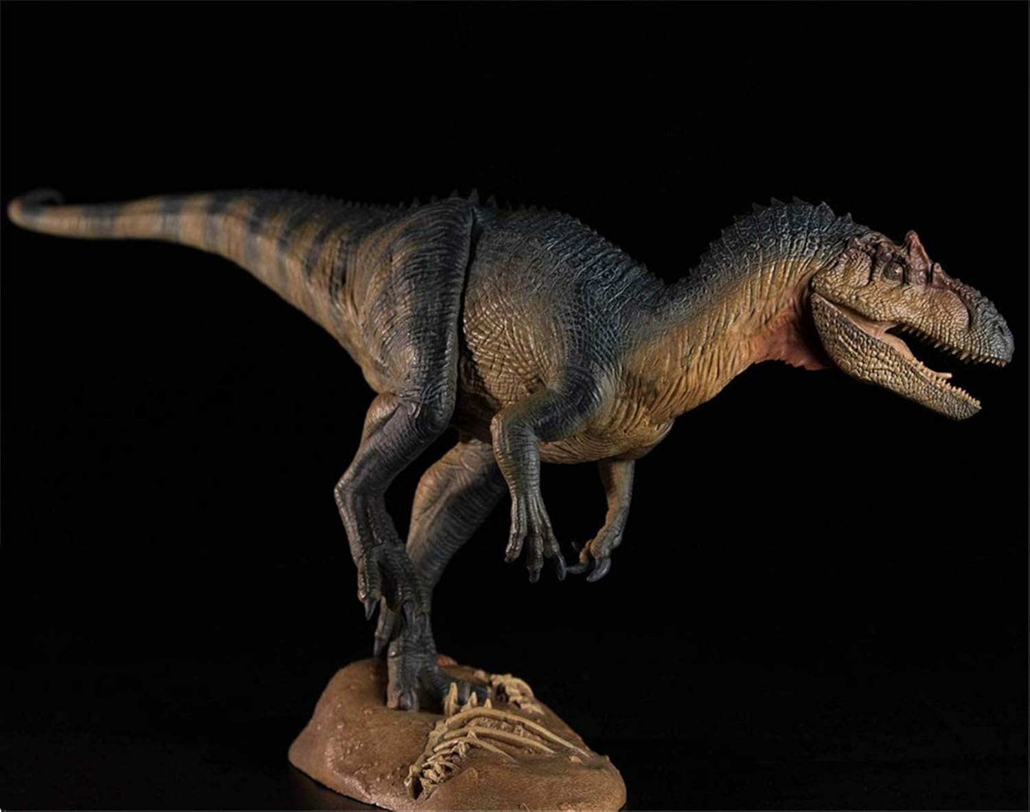 Amazon.com: Nanmu 1/35 Allosaurus Figure Blade Dinosaur Figure ...