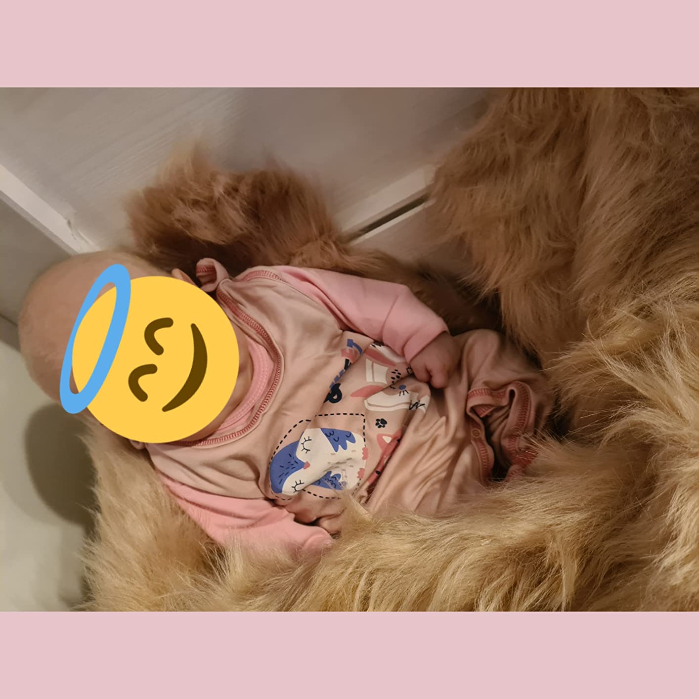 TupTam Unisex Baby Strampler mit Aufdruck 5er Set : Amazon.de: Fashion