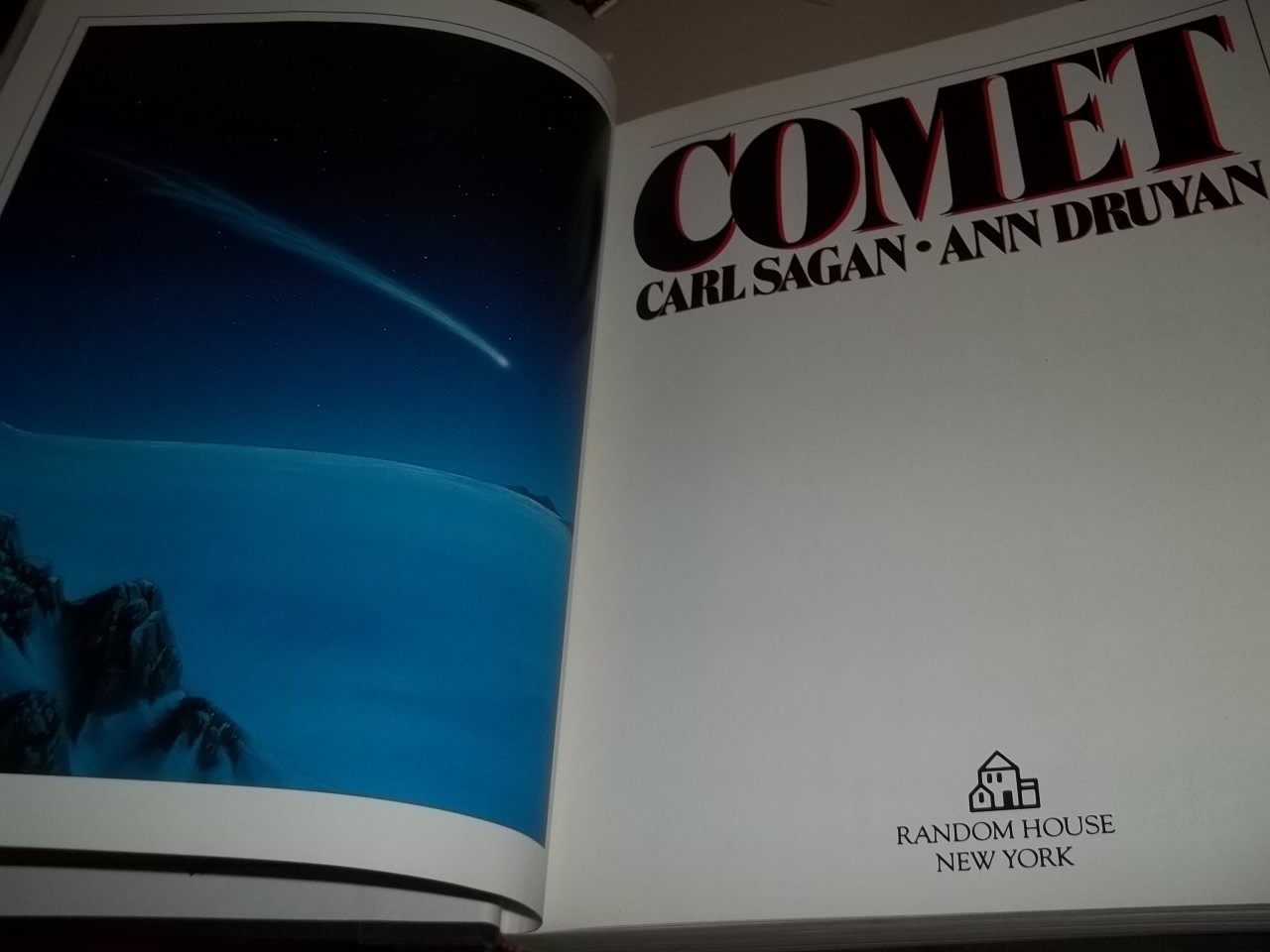 Comet: Sagan, Carl: 9780394549088: Amazon.com: Books