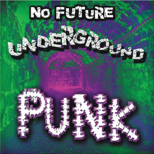 Amazon.co.jp: No Future Underground Punk : VARIOUS ARTISTS: デジタルミュージック