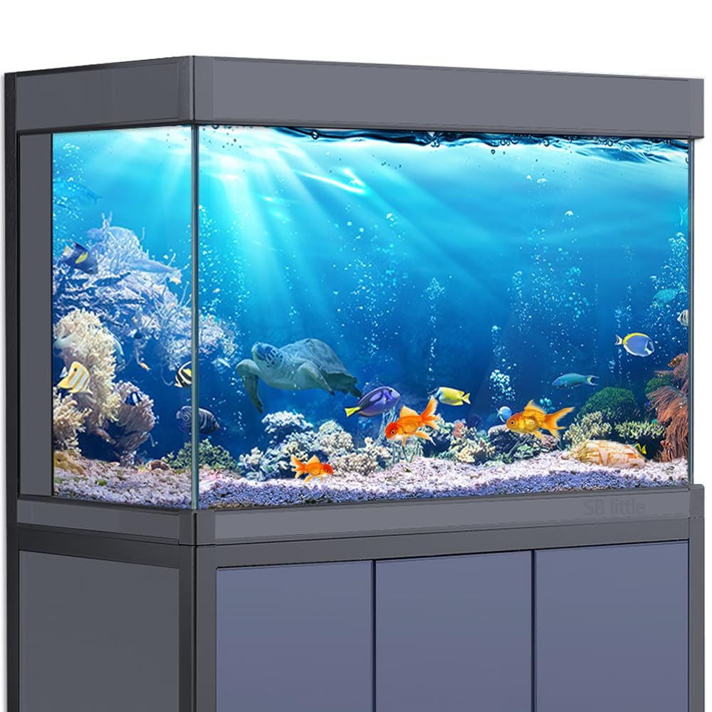 55 Gallon Aquarium Backgrounds What Is The Best Way To Re Home My