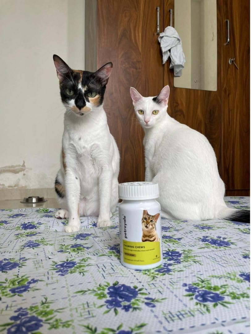 Petroyale Calming Chews for Cats | Reduces Anxiety in Cats | Eliminates ...