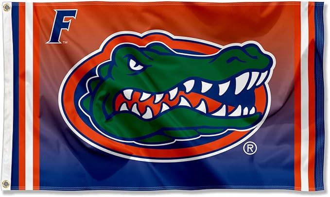 Amazon.com : Florida Gators Gradient Colors 3x5 Banner Flag : Patio ...