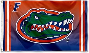 Amazon.com: Florida Gators Gradient Colors 3x5 Banner Flag : Patio ...