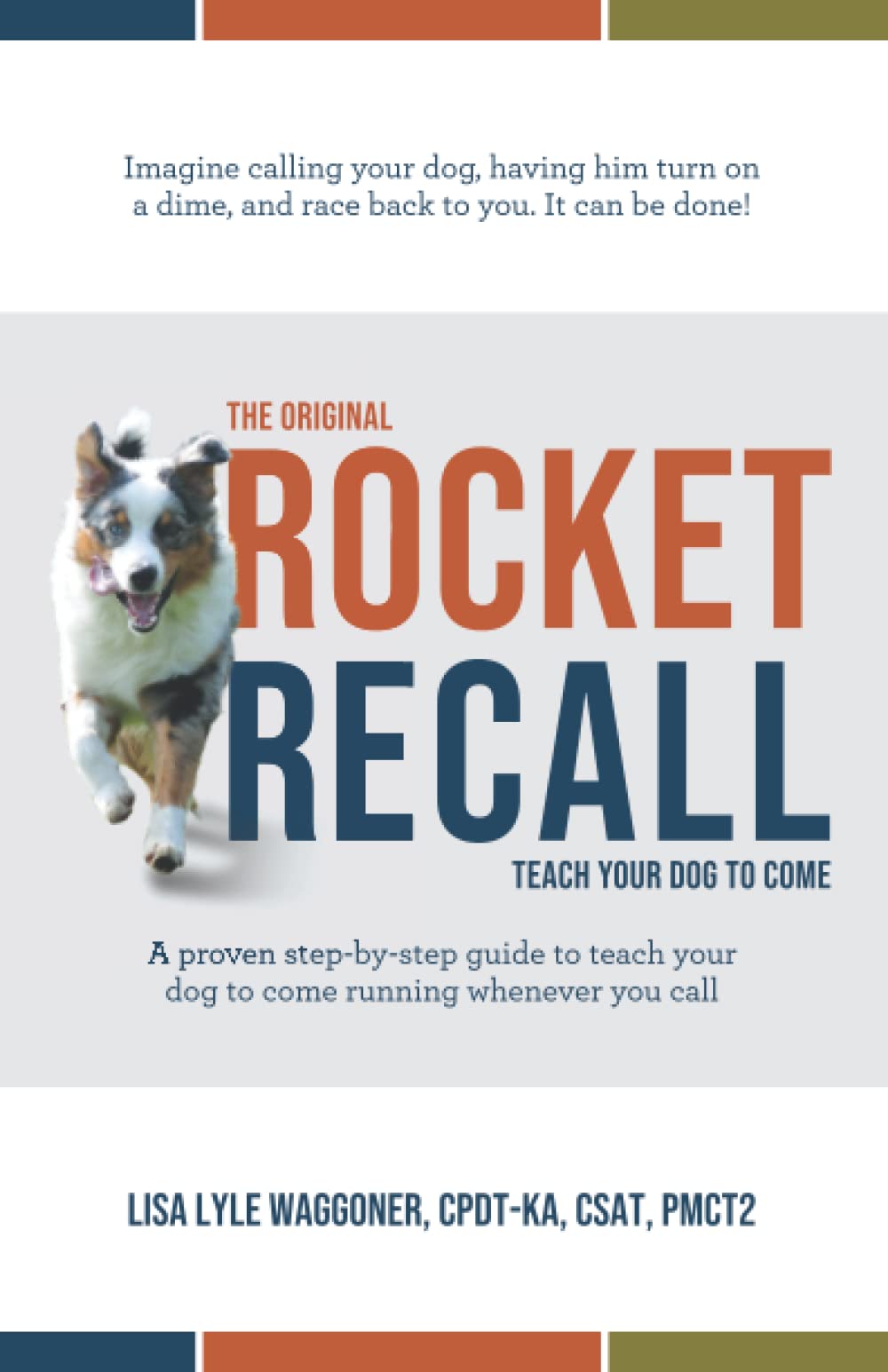 How Do You Teach A Dog Recall