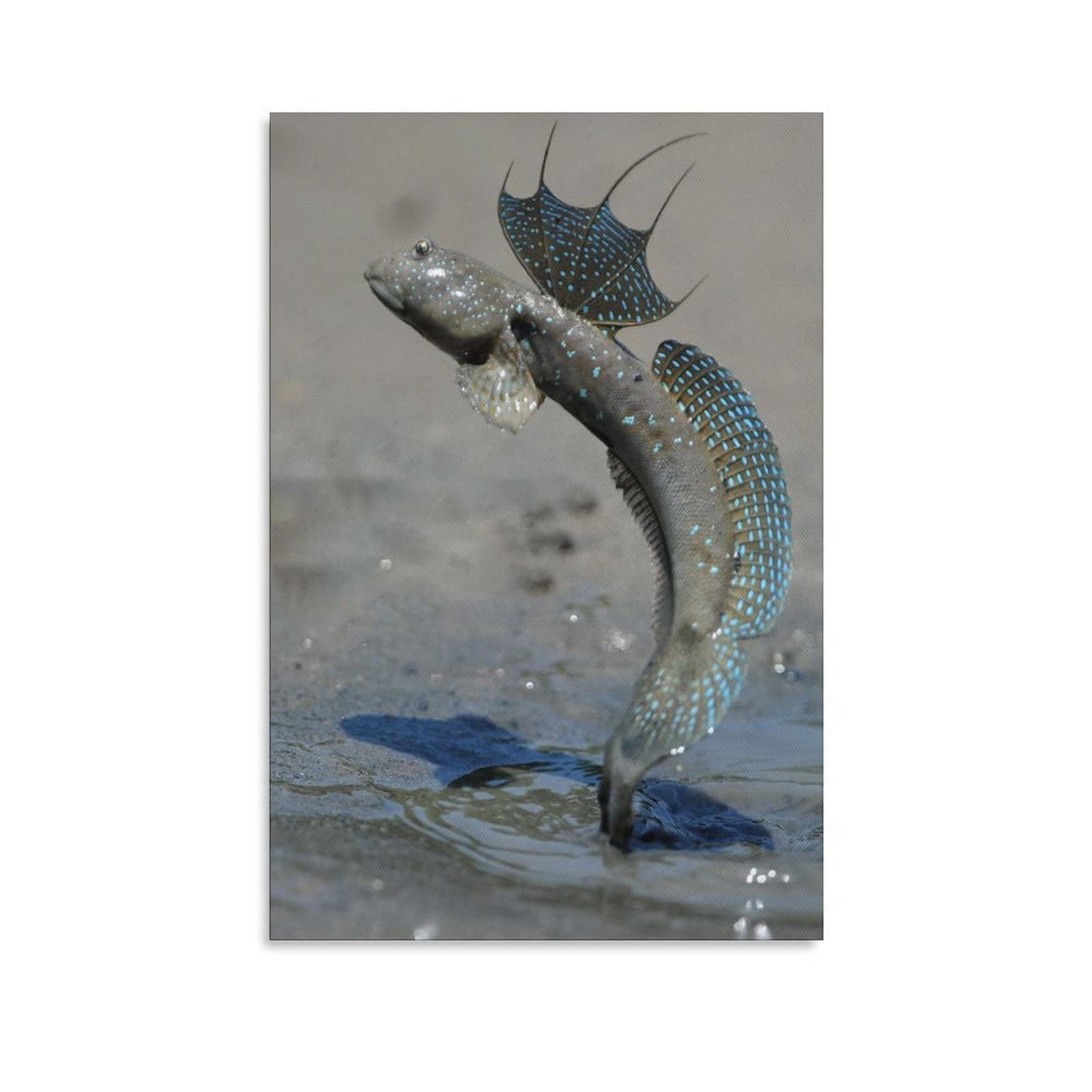 Mudskipper Jumping