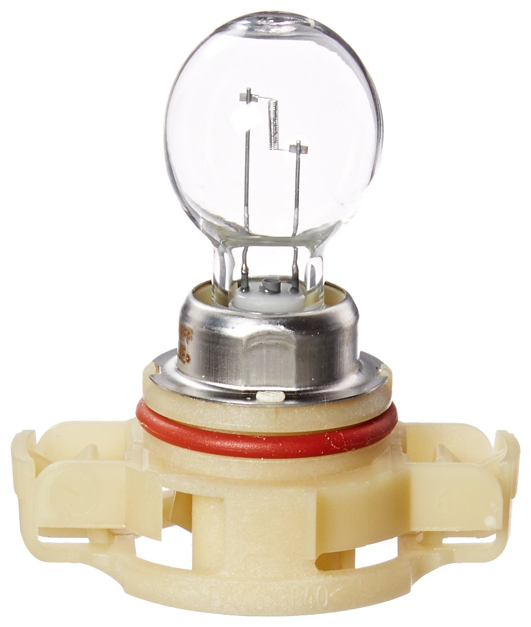 Genuine Ford 8L8Z-13466-B Bulb and Socket Assembly : Amazon.in: Car ...