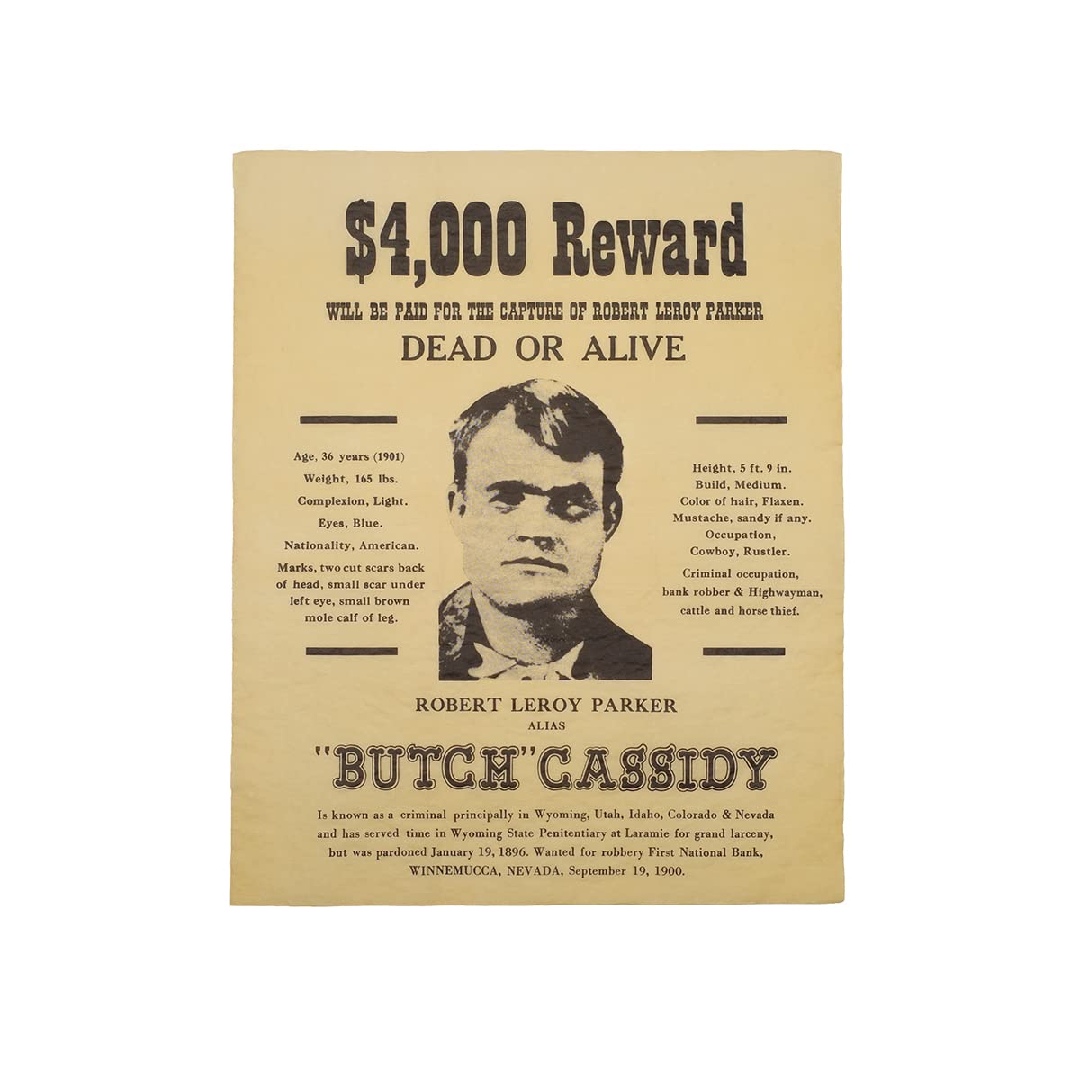 Reward Poster Design