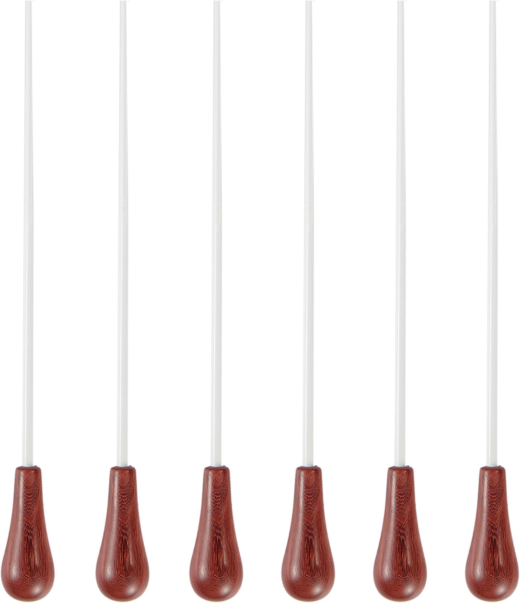 Amazon.com: Conductors Baton Conducting Baton Music Orchestra Baton (6 ...