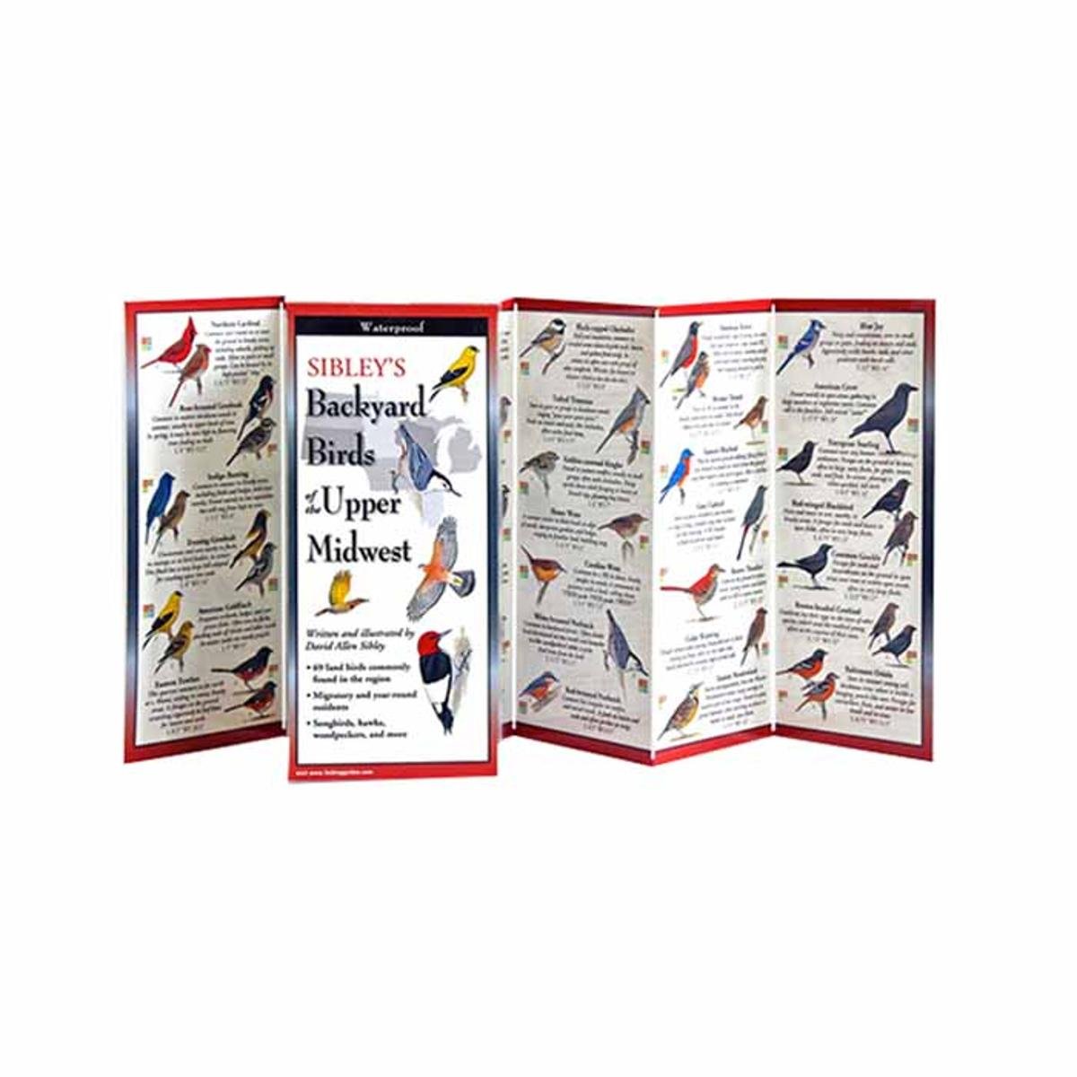 Buy Earth Sky + Water FoldingGuide - Sibley’s Backyard Birds of the ...