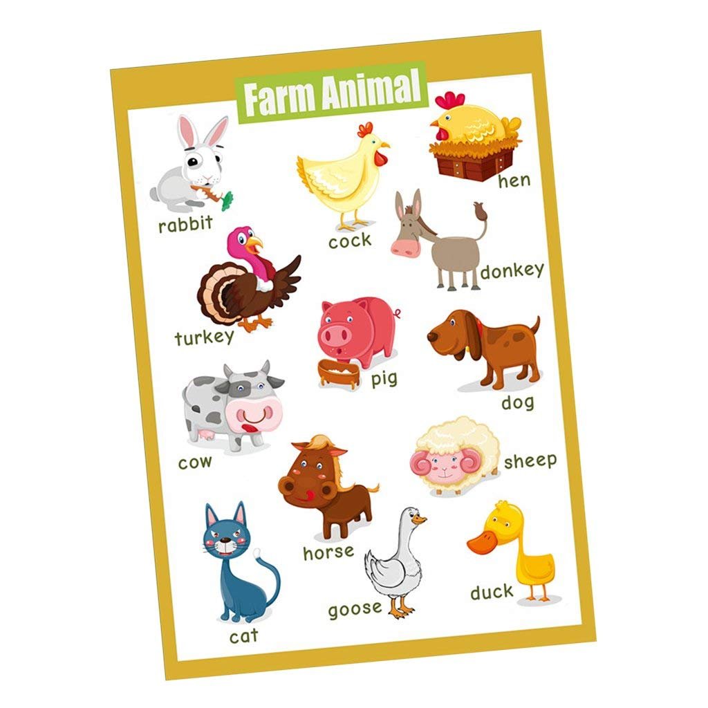 Amazon.com: SANTSUN Educational Preschool Posters | Educational Wall ...