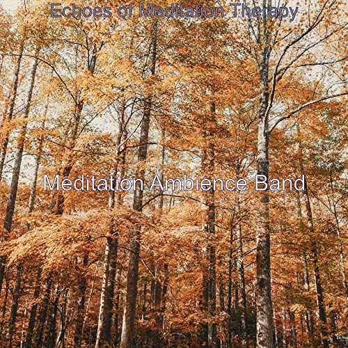 Play Echoes of Meditation Therapy by Meditation Ambience Band on Amazon ...