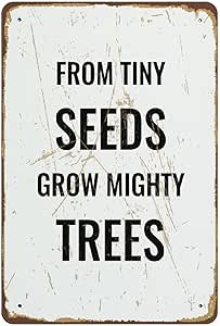 Amazon.com : From Tiny Seeds Grow Mighty Trees Nursery Wall Art ...