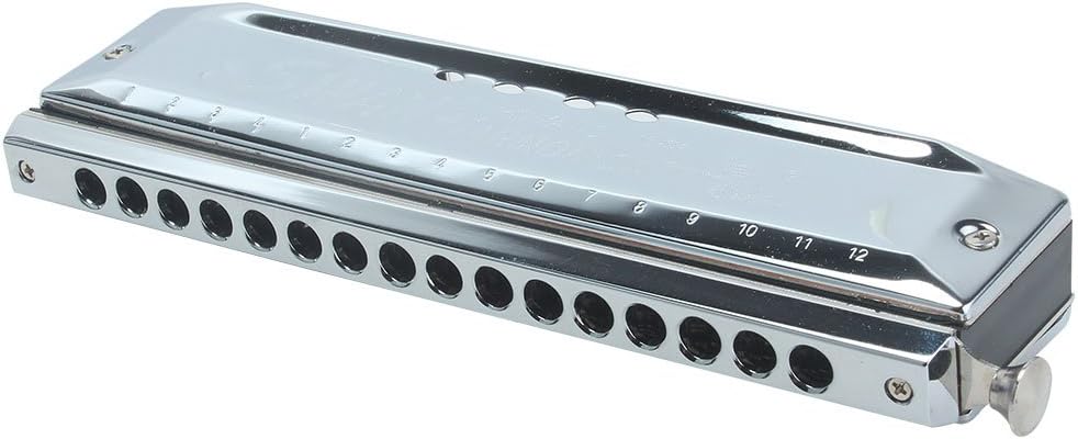 Amazon.com: SWAN Chromatic Harmonica 16 Hole 64 Tones Harmonica For ...