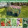 Amazon.com : Apipi Raised Garden Planters Fabric Beds, Grow Bags with 4 ...
