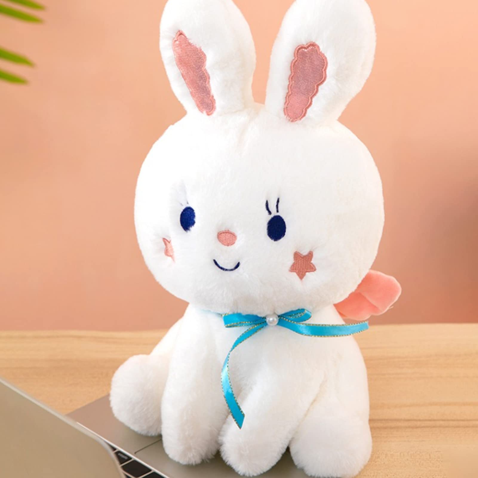 Fat Cute Bunny