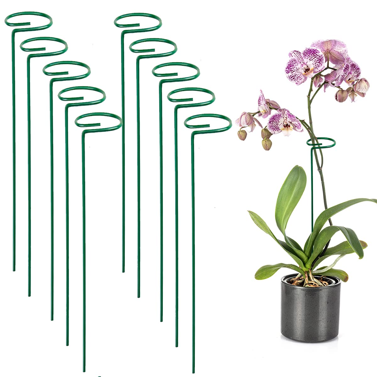 Amazon.com : MAXXPORT Plant Stakes for Indoor Plants, Garden stem ...