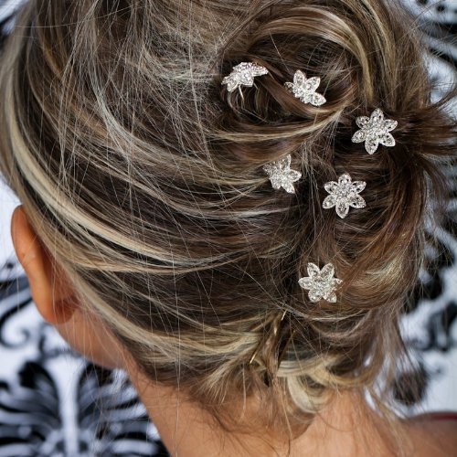 Amazon.com : Bridal Wedding Beautiful Elegant Crystal Flower Hair Pins ...
