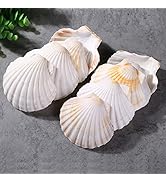 Amazon.com: QEQEKAKA 30PCS Oyster Shells Flat & Concave 4"-5" Large ...