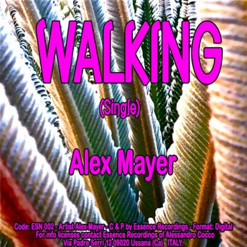 Amazon.com: Walking : Alex Mayer: Digital Music